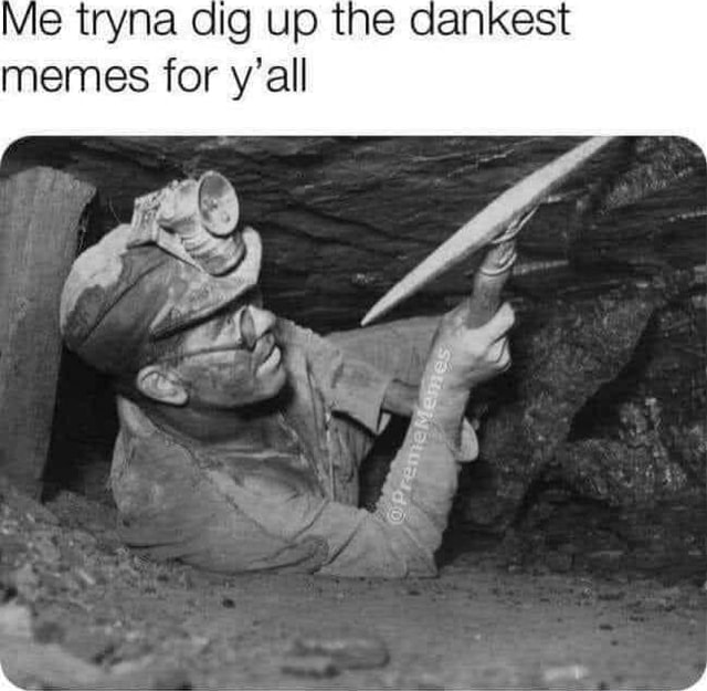 Tryna Up the cankest memes for y'all - iFunny