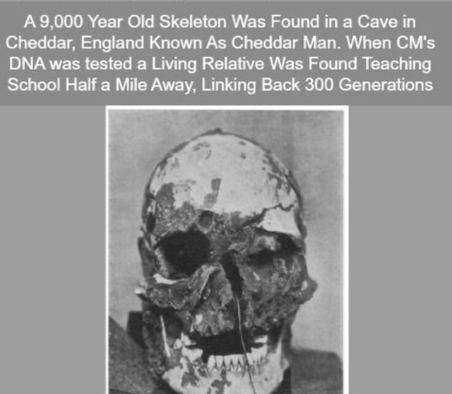 A9,000 Year Old Skeleton Was Found in a Cave in Cheddar, England Known ...