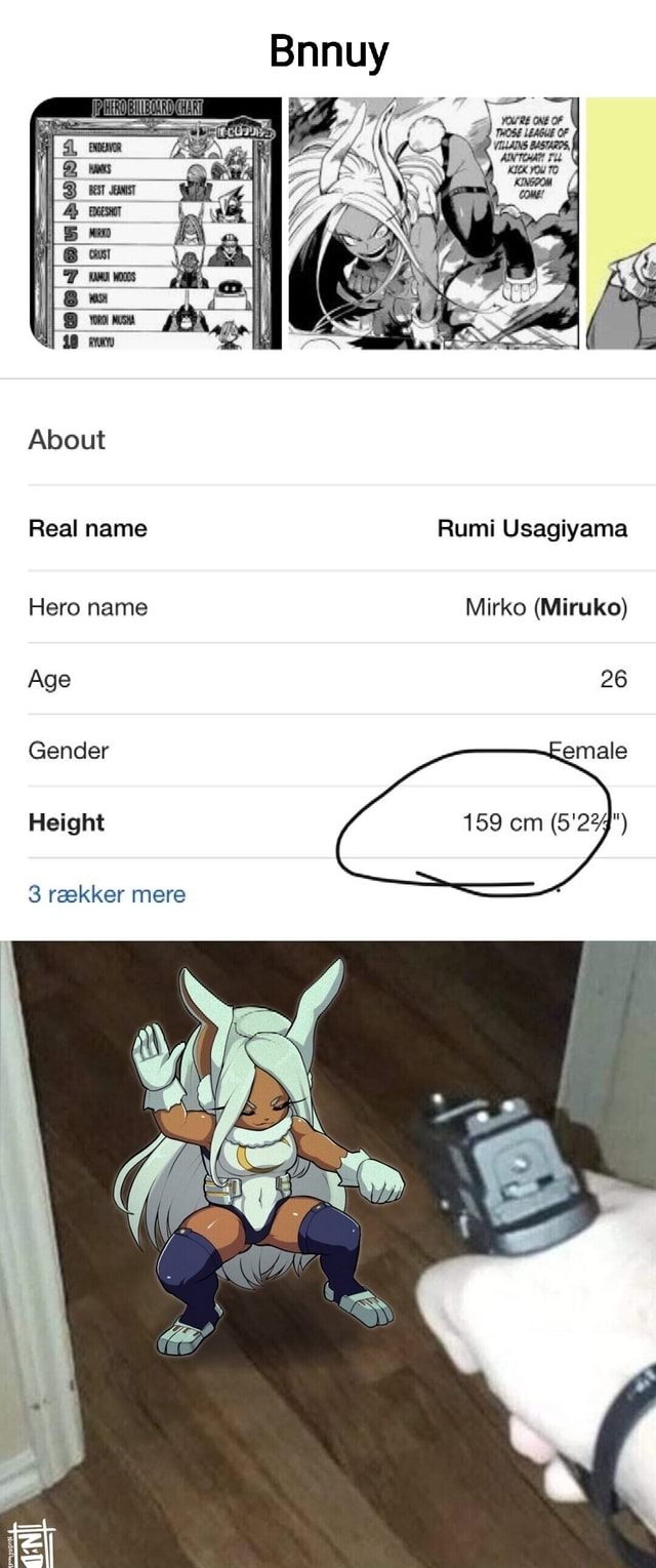 About Real name Hero name Age Gender Height 3 raekker mere Rumi ...