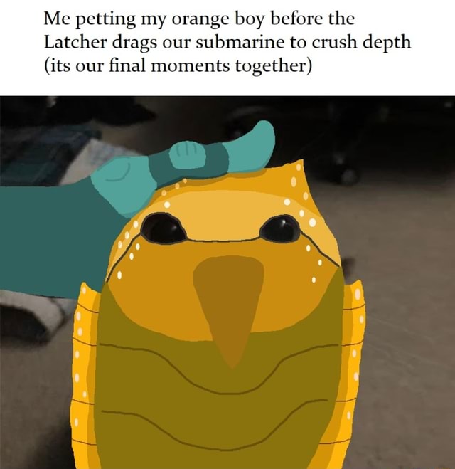 Me petting my orange boy before the Latcher drags our submarine to ...