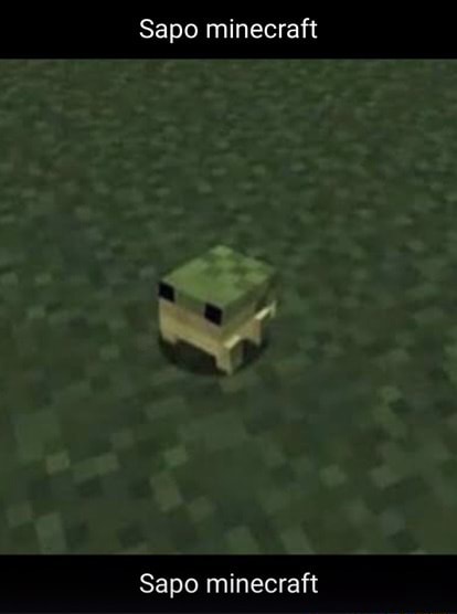 Sapo minecraft Sapo minecraft - iFunny