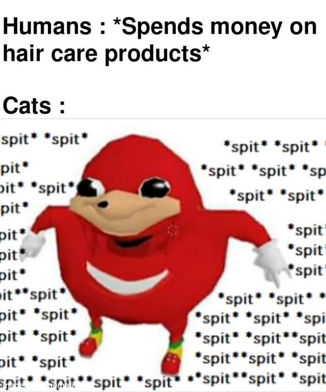 Humans : *Spends money on hair care products* Cats : spit* *spit* *spit ...