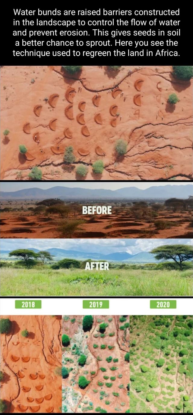 Water bunds are raised barriers constructed in the landscape to control ...