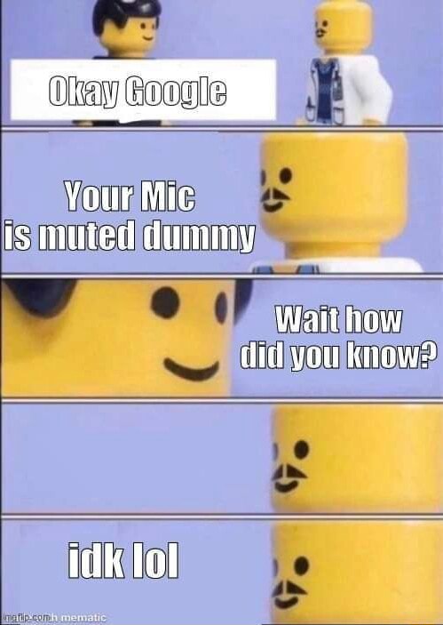 Your Mic is muted dummy Wait how did you know? idk tol - iFunny