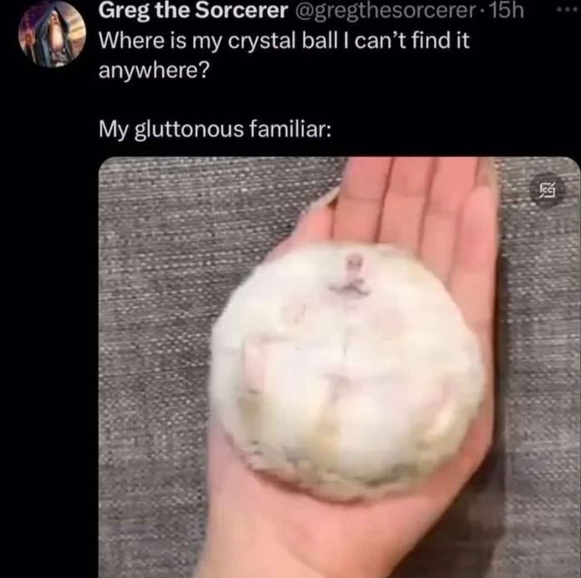 Where is my crystal ball I can't find it Greg the Sorcerer ...