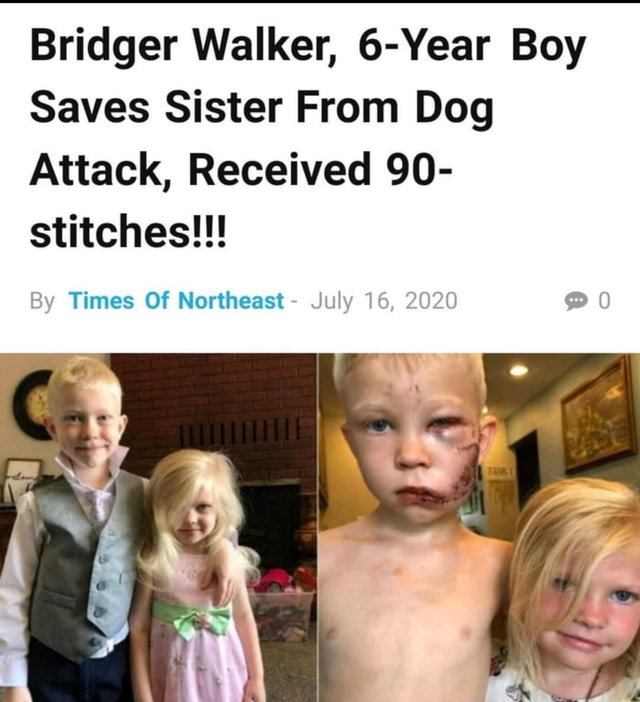 Bridger Walker, 6-Year Boy Saves Sister From Dog Attack, Received 90 ...