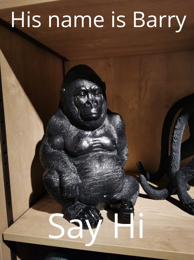 His name is Barry Say Hi - iFunny