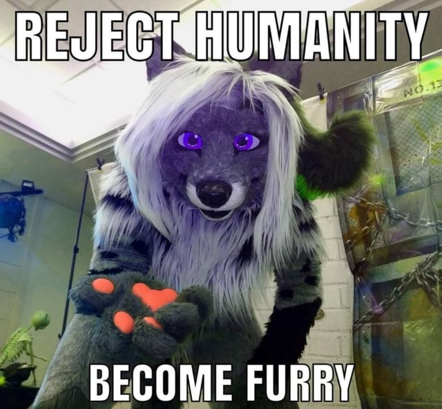 REJECT HUMANITY BECOME FURRY - iFunny
