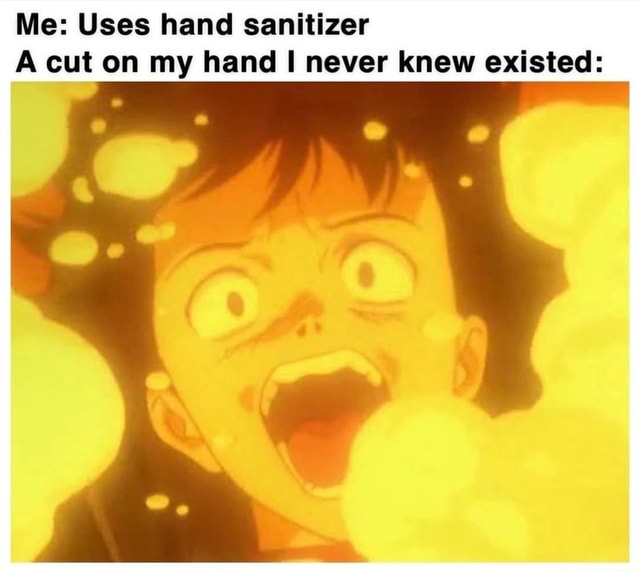 Me: Uses hand sanitizer A cut on my hand never knew existed: - iFunny