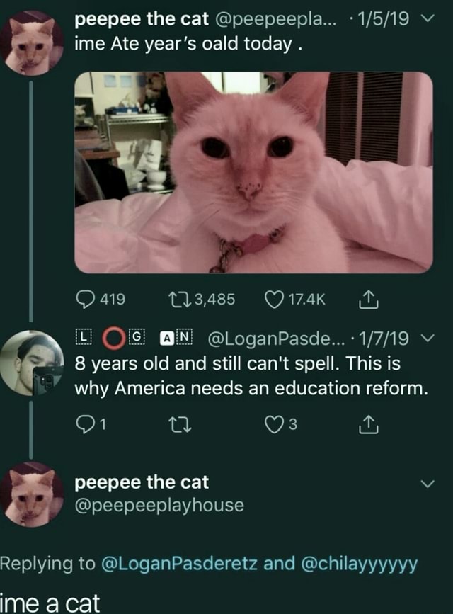 Ime Ate year's oald today . peepee the cat @peepeepla... - v 419 ...
