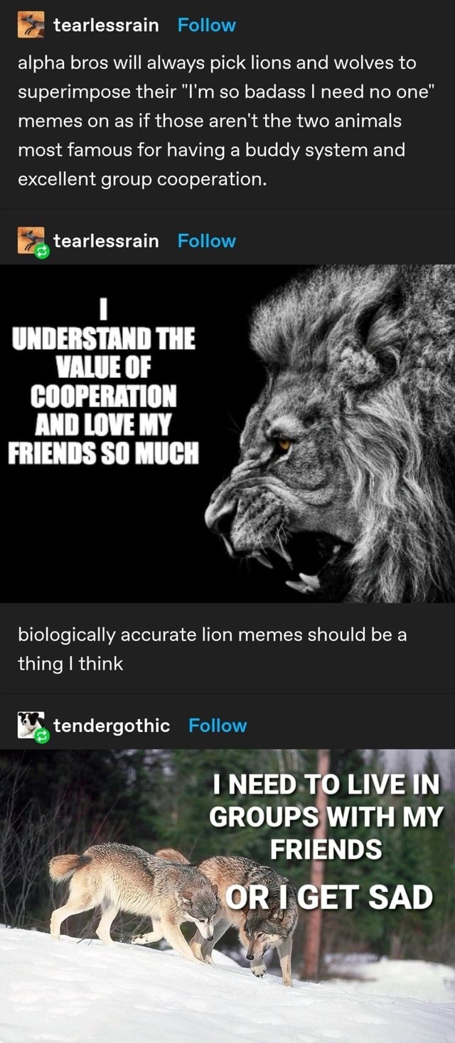 Alpha bros will always pick lions and wolves to superimpose their "I'm ...