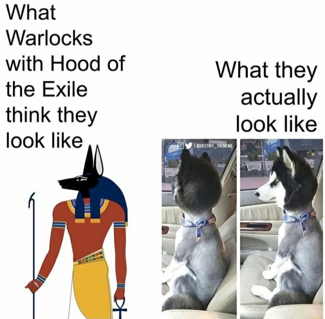 What Warlocks with Hood of What they the Exile actually think they look ...
