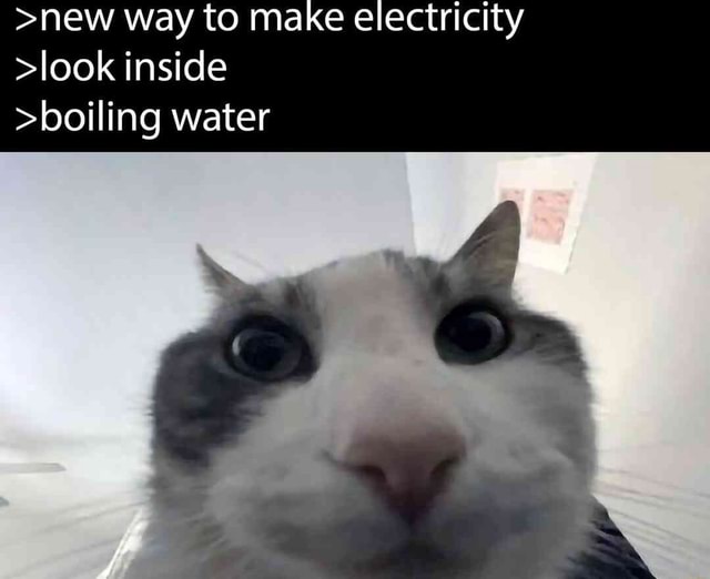 >new way to make electricity >look inside >boiling water - iFunny