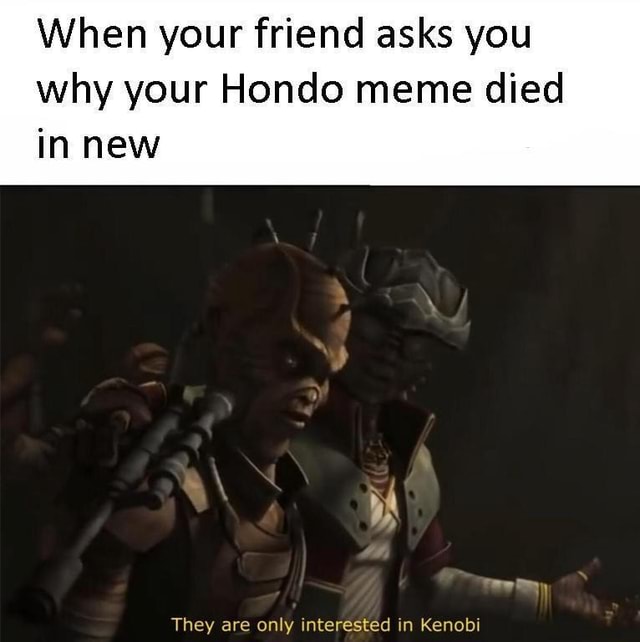 When your friend asks you why your Hondo meme died in new They are only ...