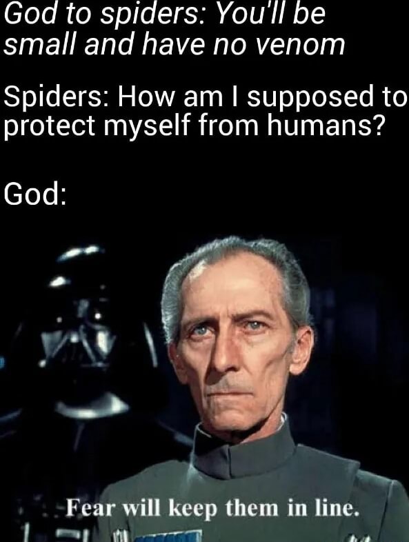 God to spiders: You be small and have no venom Spiders: How am I ...