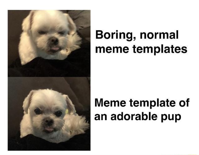 Boring, normal meme templates Meme template of an adorable pup - iFunny