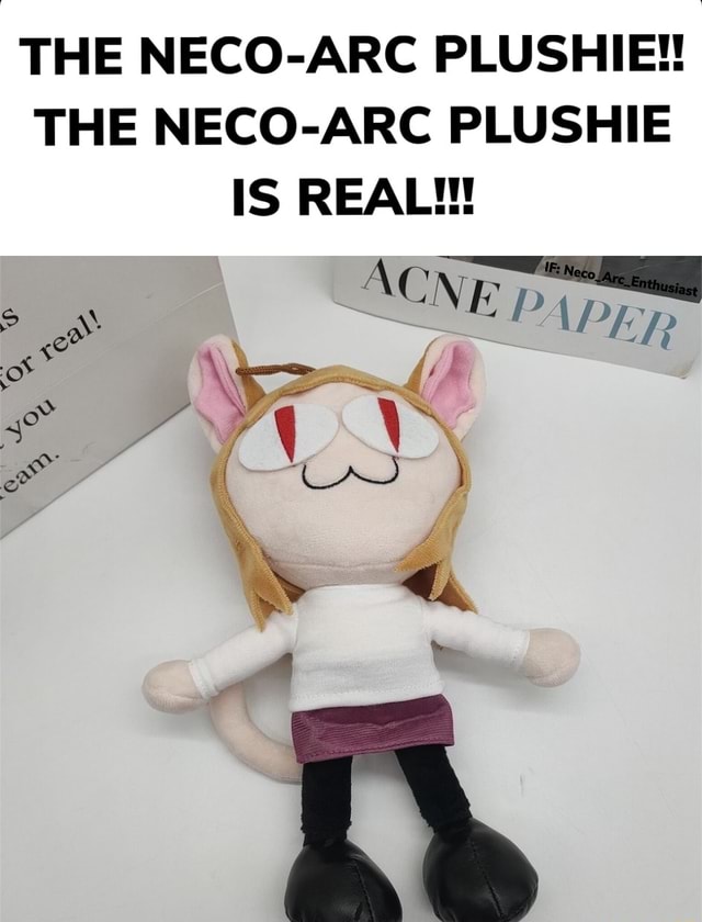 THE NECO-ARC PLUS THE NECO-ARC PLUSHIE IS REAL!!! ACNE PP VE . - iFunny