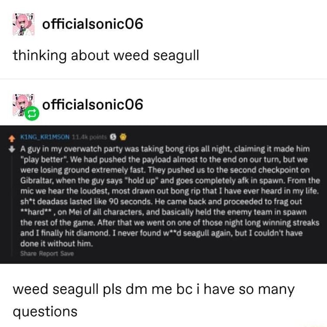 Thinking about weed seagull OS A guy in my overwatch party was taking ...