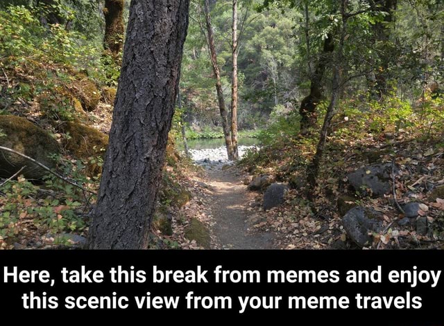 Here, take this break from memes and enjoy this scenic view from your ...
