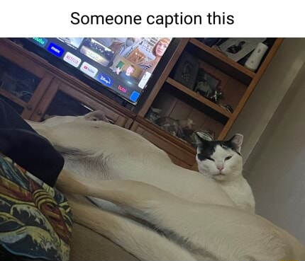 Someone caption this - iFunny