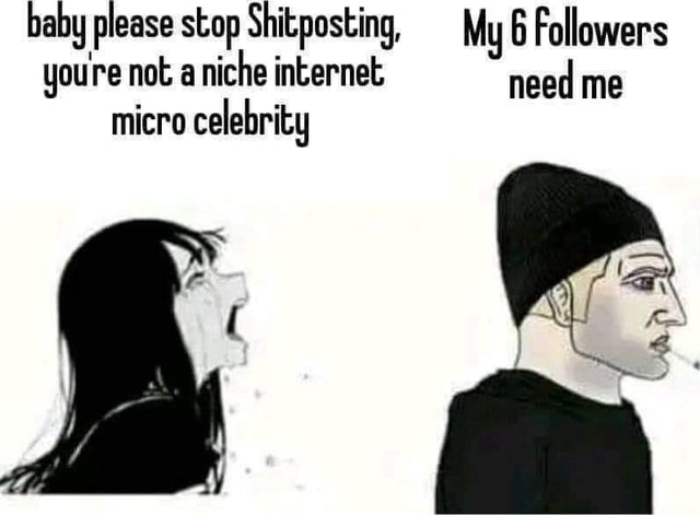 Baby please stop Shitposting, My Followers youre not a niche internet ...