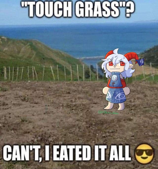 "TOUCH GRASS"? CANT, EATED IT ALL - iFunny