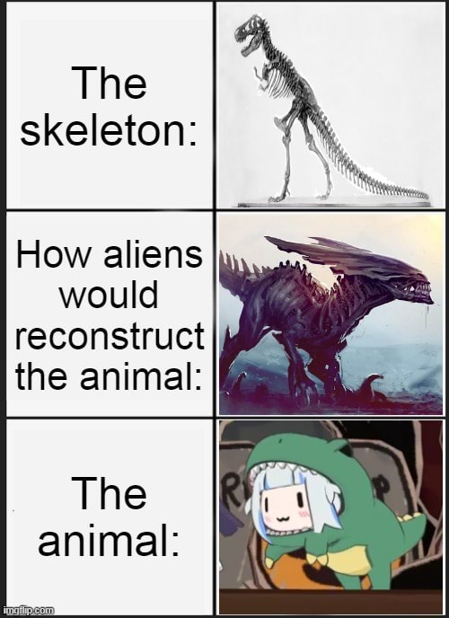 The skeleton: How aliens would reconstruct the animal: II' The animal ...