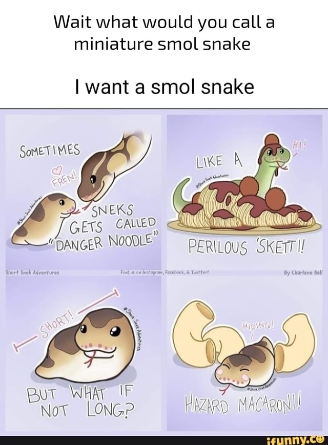 Wait what would you calla miniature smol snake I want a smol snake \MES GETS CALLED CCL. "ANGER ...