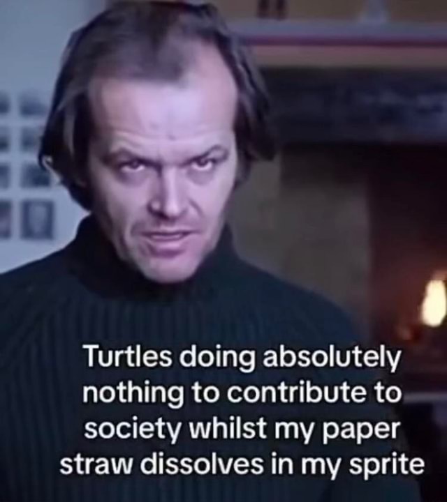 Turtles doing absolutely nothing to contribute to society whilst my ...