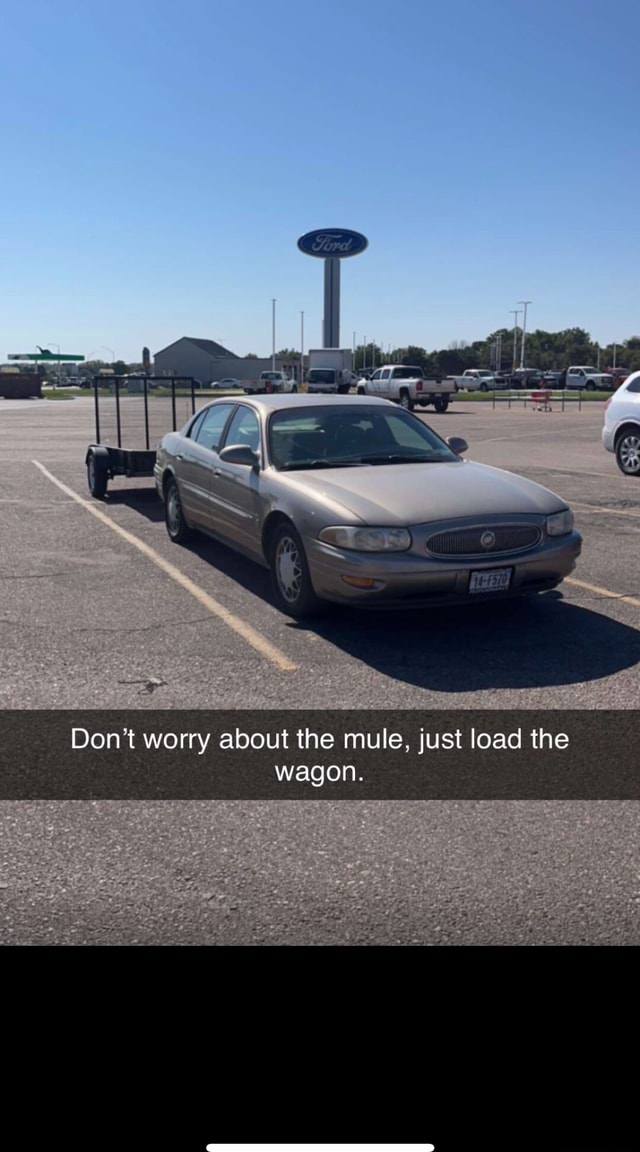 Don't worry about the mule, just load the wagon. - iFunny