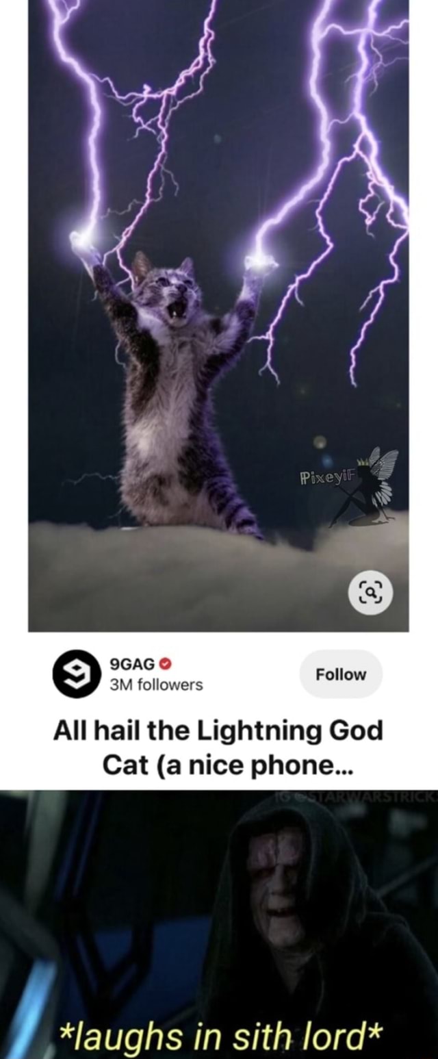 Follow followers All hail the Lightning God Cat (a nice phone ...