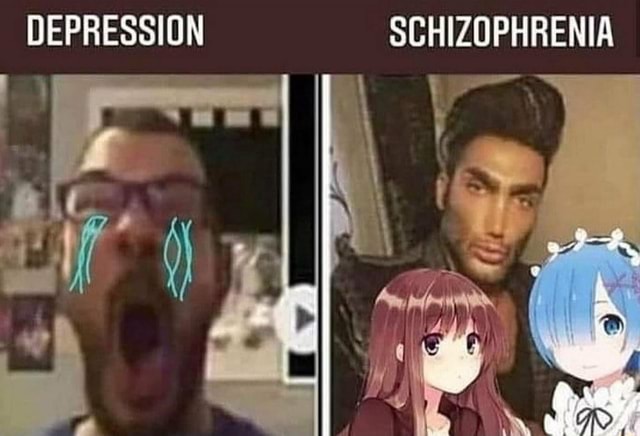 DEPRESSION SCHIZOPHRENIA "Se - iFunny