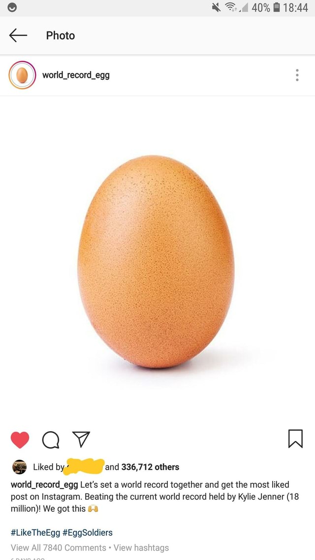 Egg_irl - 40%