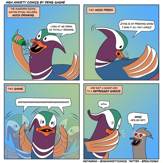 HIGH ANXIETY COMICS BY DENIS GAGNE THE MANDARIN DUCK'S THEY MOCK PREEN ...