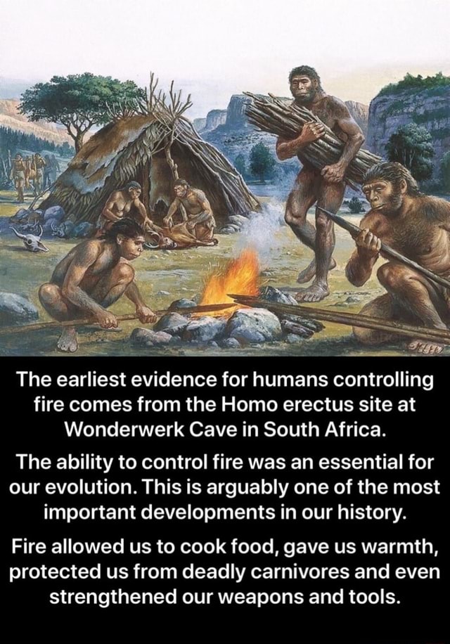 The Earliest Evidence For Humans Controlling Fire Comes From The Homo