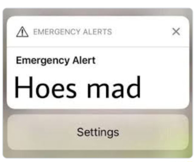 EMERGENCY ALERTS Emergency Alert Hoes mad Settings - iFunny