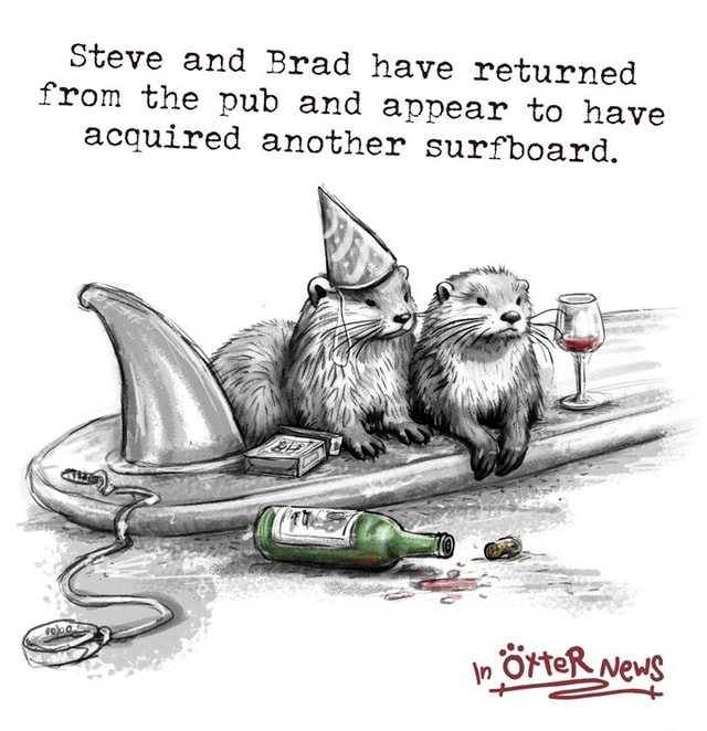 Finally, some answers.... - Steve and Brad have returned from the pub ...