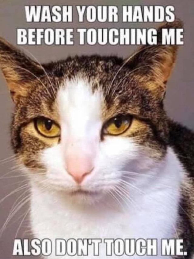WASH YOUR HANDS BEFORE TOUCHING ME TOUCH - America’s best pics and videos
