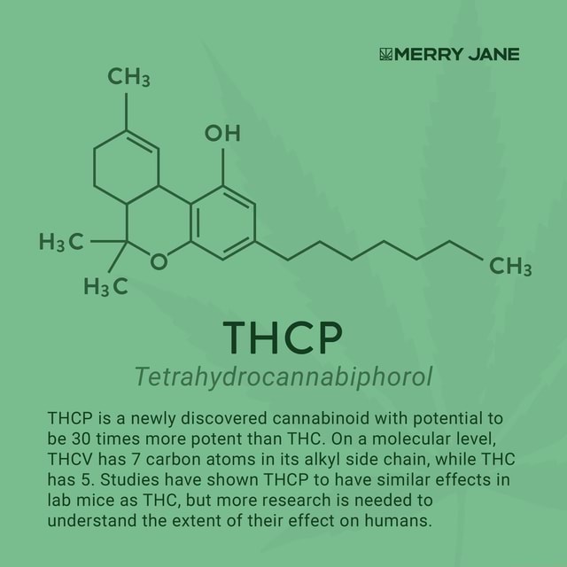 MERRY JANE OH THCP is a newly discovered cannabinoid with potential to ...