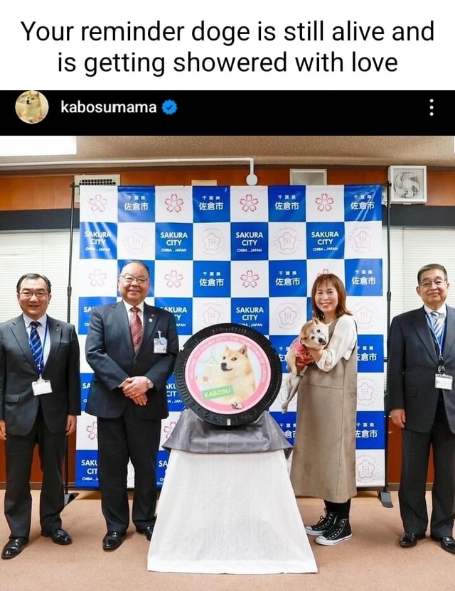 Your reminder doge is still alive and is getting showered with love I I kabosumama TET - iFunny