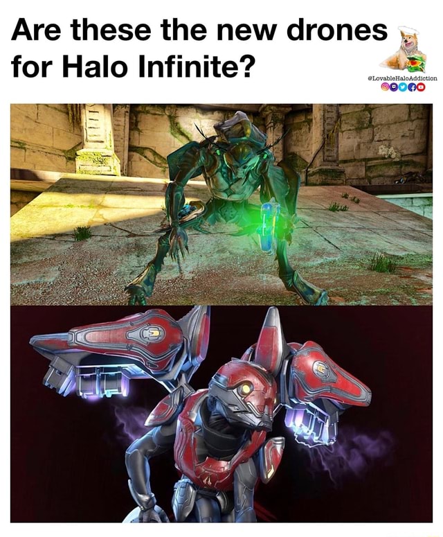 Are these the new drones for Halo Infinite? - iFunny
