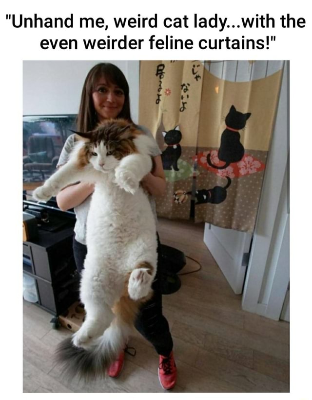 "Unhand me, weird cat lady...with the even weirder feline curtains ...