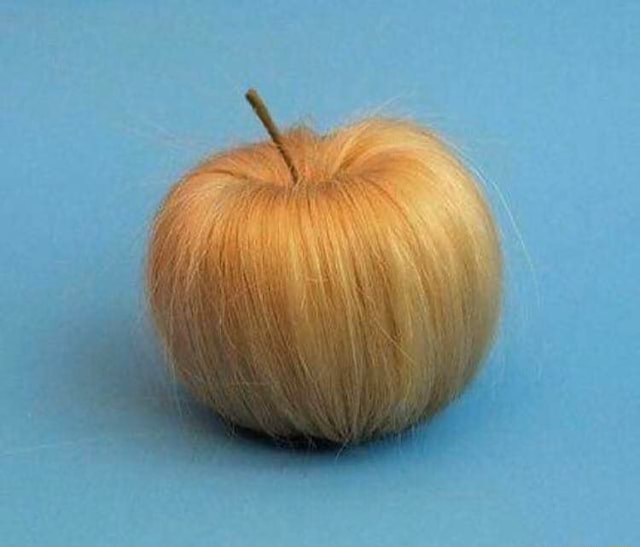 Cursed Apple - iFunny