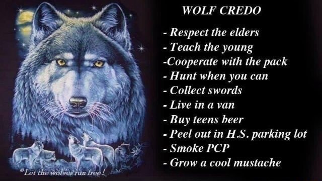 WOLF CREDO Respect the elders - Teach the young -Cooperate with the ...