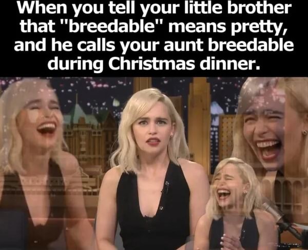 When you tell your little brother that "breedable" means pretty, and he ...