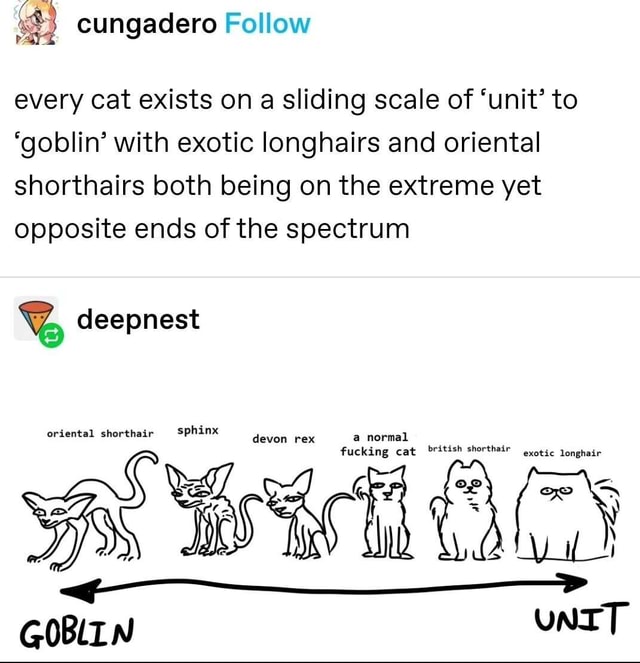 Cungadero Follow every cat exists on a sliding scale of 'unit' to ...