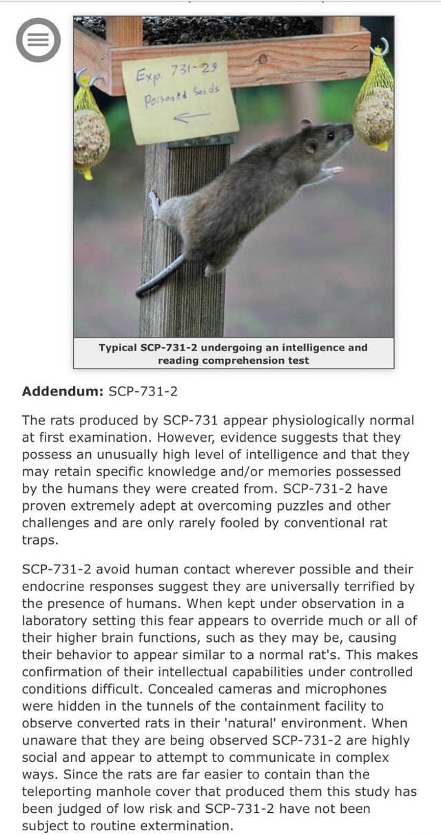 Typical SCP-731-2 undergoing an intelligence and reading comprehension ...