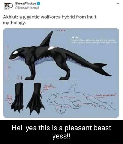 (Akhiut: gigantic wolf-orca hybrid from Inuit Hell yea this is a ...