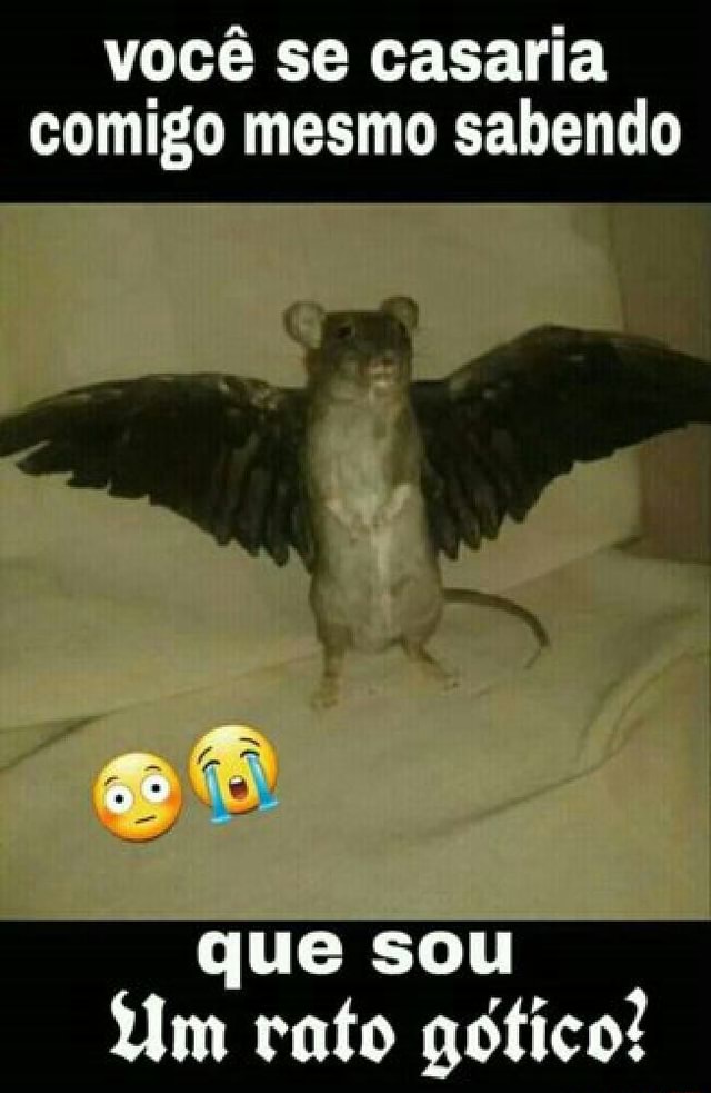 Você se casaria comigo mesmo sabendo que sou Um rato gótico! - iFunny ...