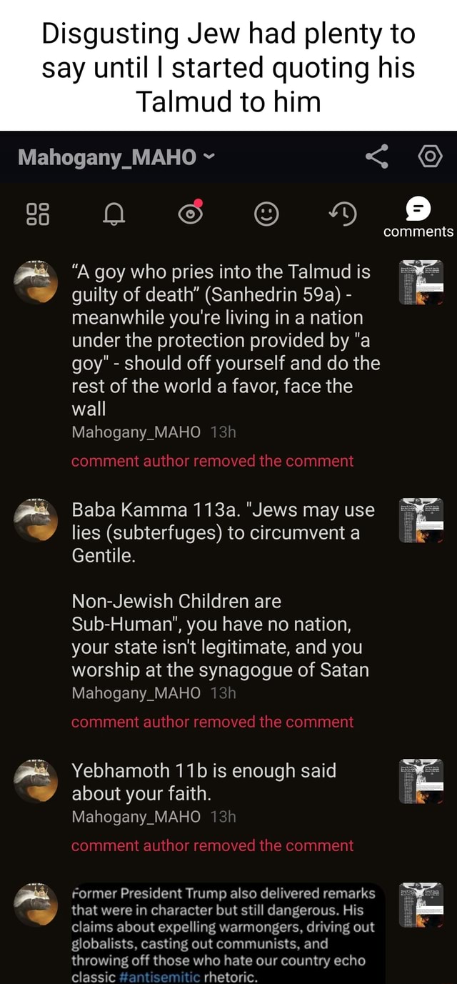 Disgusting Jew had plenty to say until I started quoting his Talmud to ...